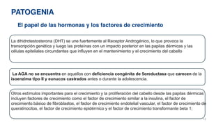 Alopecía Androgenética en el Varon.pptx