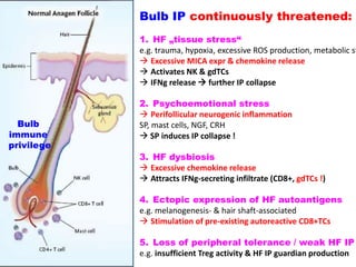 Alopecia Areata: Autoimmune Disease or Hair Follicle Response Pattern ...
