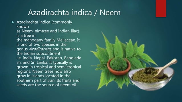 Aloe vera & Neem Plant uses ppt. with animation | PPT