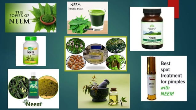Aloe vera & Neem Plant uses ppt. with animation | PPT