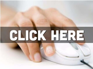 Alpaca Fast Facts | PPT