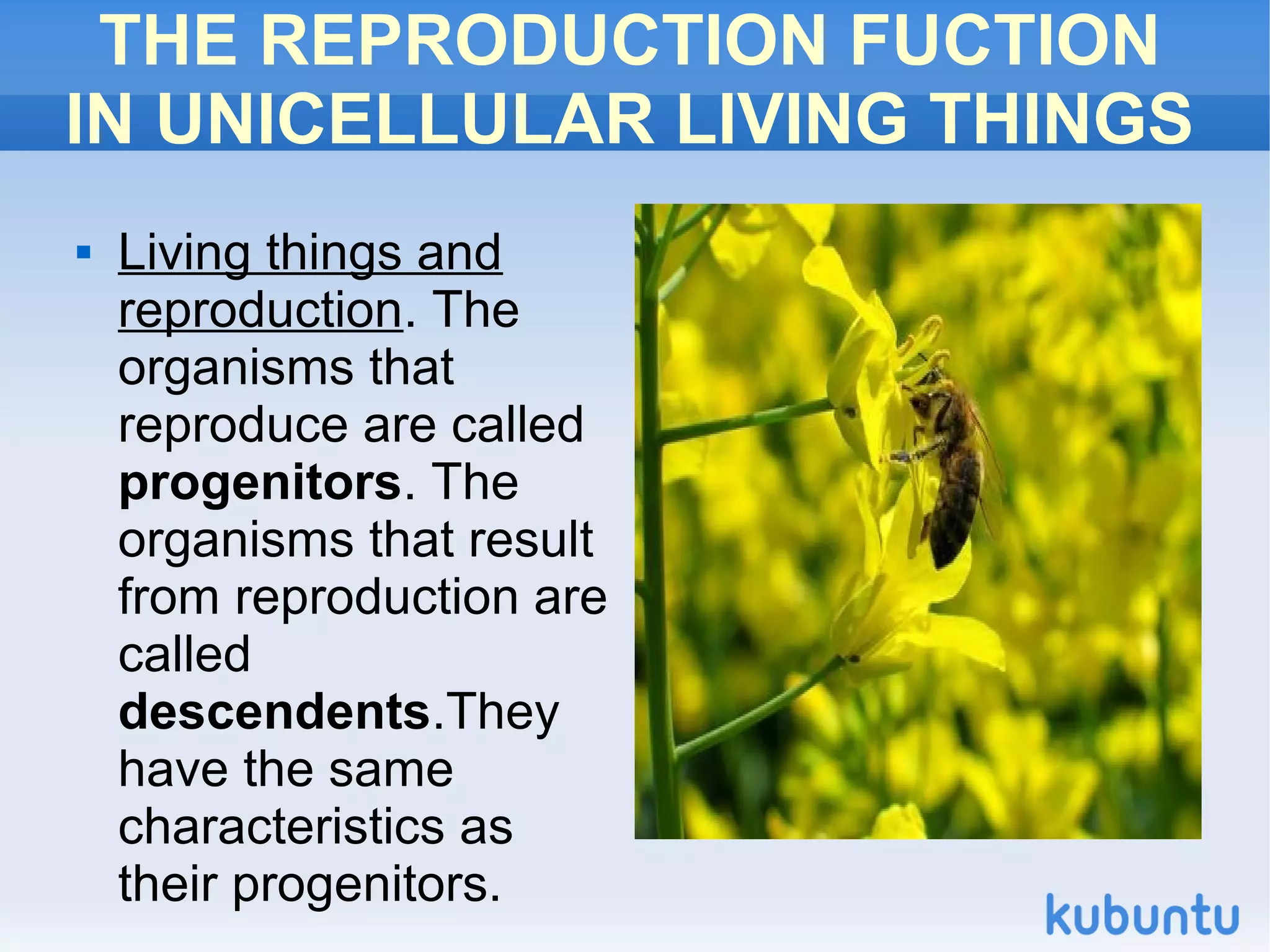 Living things reproduce | ODP