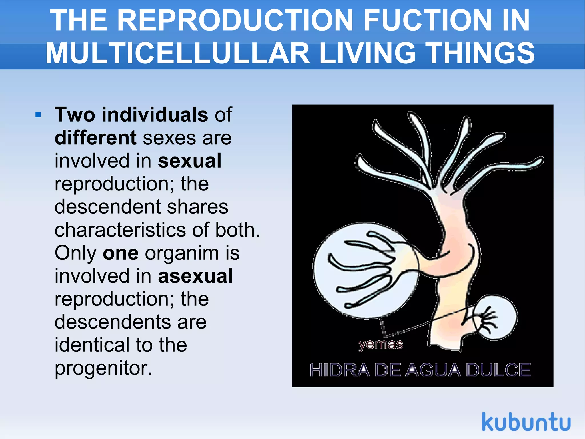 Living things reproduce | ODP