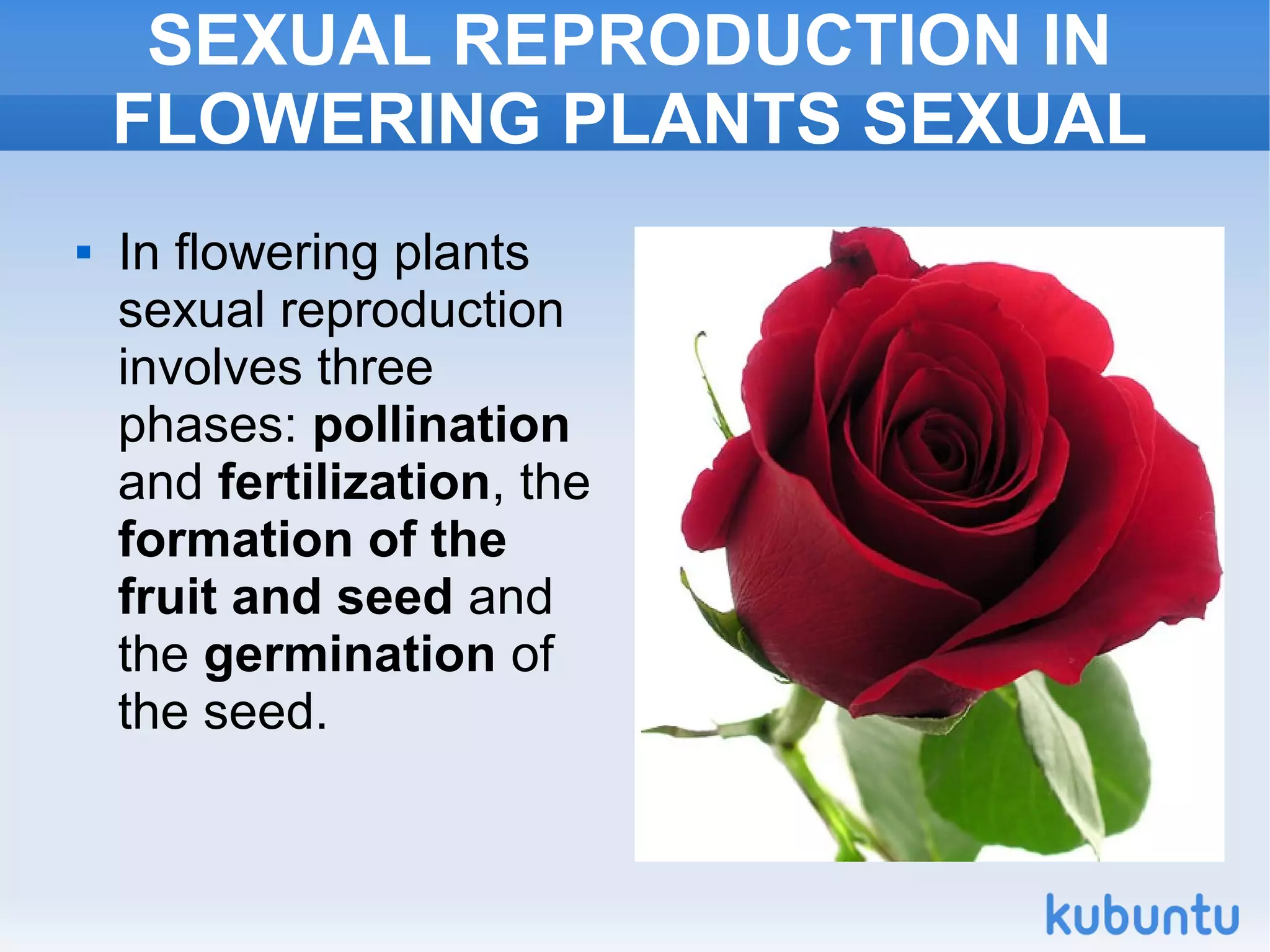 Living things reproduce | ODP