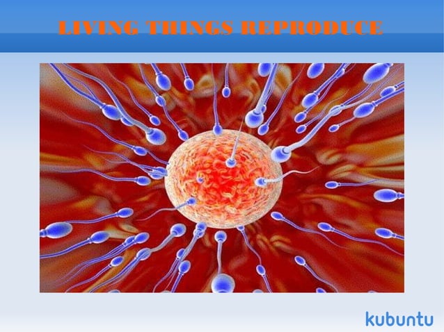 Living things reproduce | ODP | Infertility | Reproductive Health