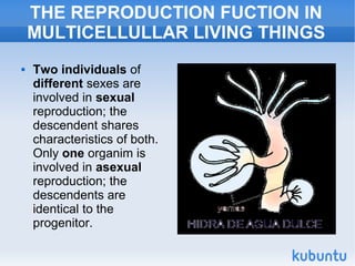 Living things reproduce | ODP