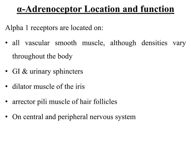 Alpha 1 adrenergic receptor | PPTX | Endocrine and Metabolic Diseases ...