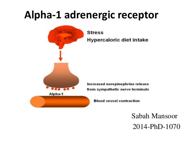 Alpha 1 adrenergic receptor