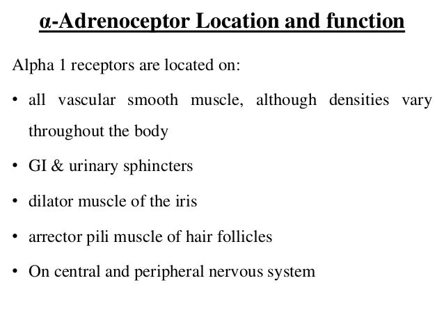 Alpha 1 adrenergic receptor