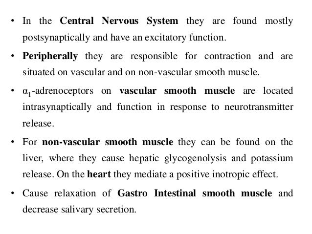 Alpha 1 adrenergic receptor