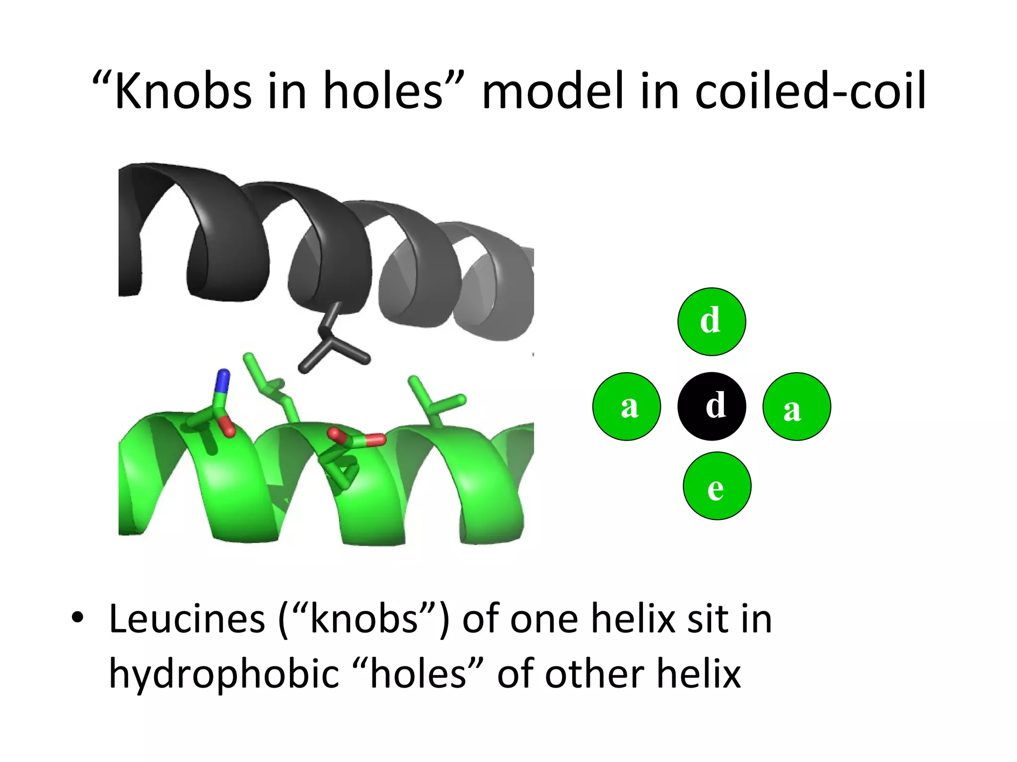 Alpha domain structurs | PPT