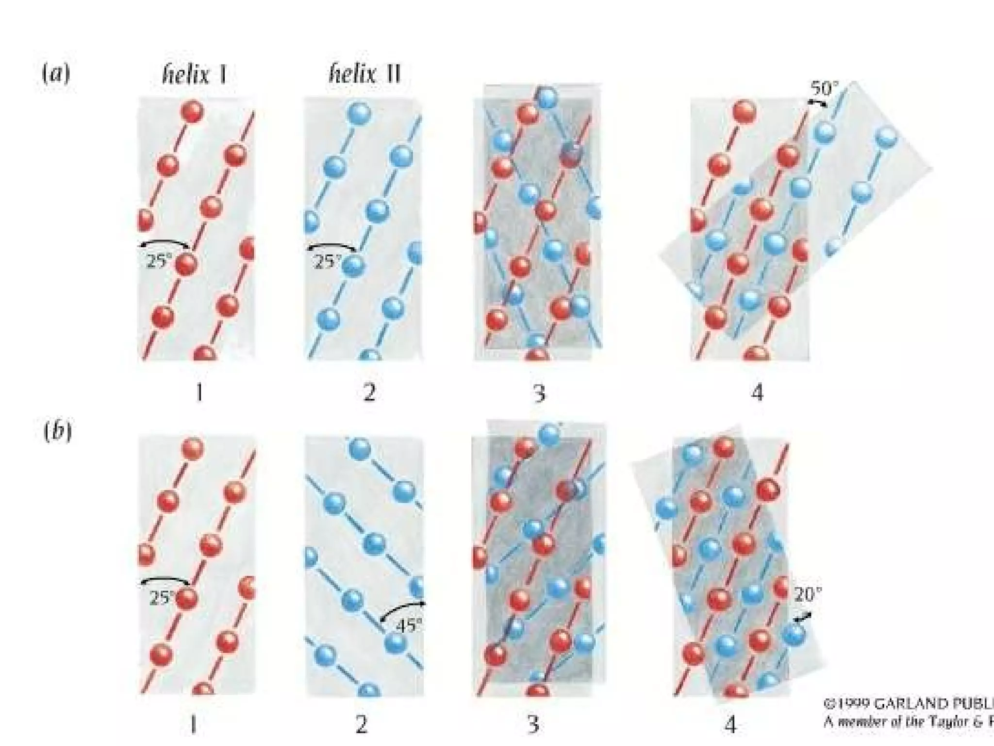 Alpha domain structurs | PPT