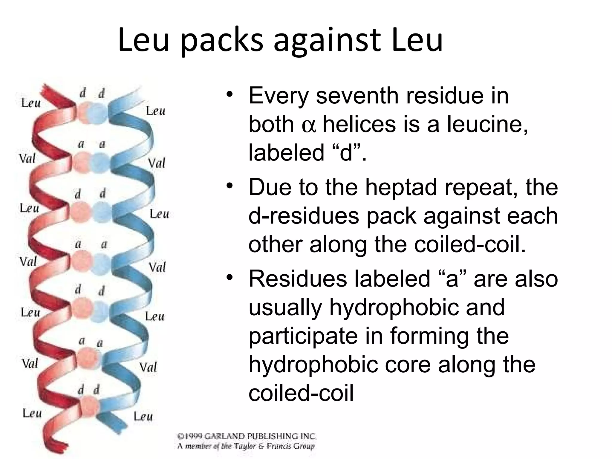 Alpha domain structurs | PPT