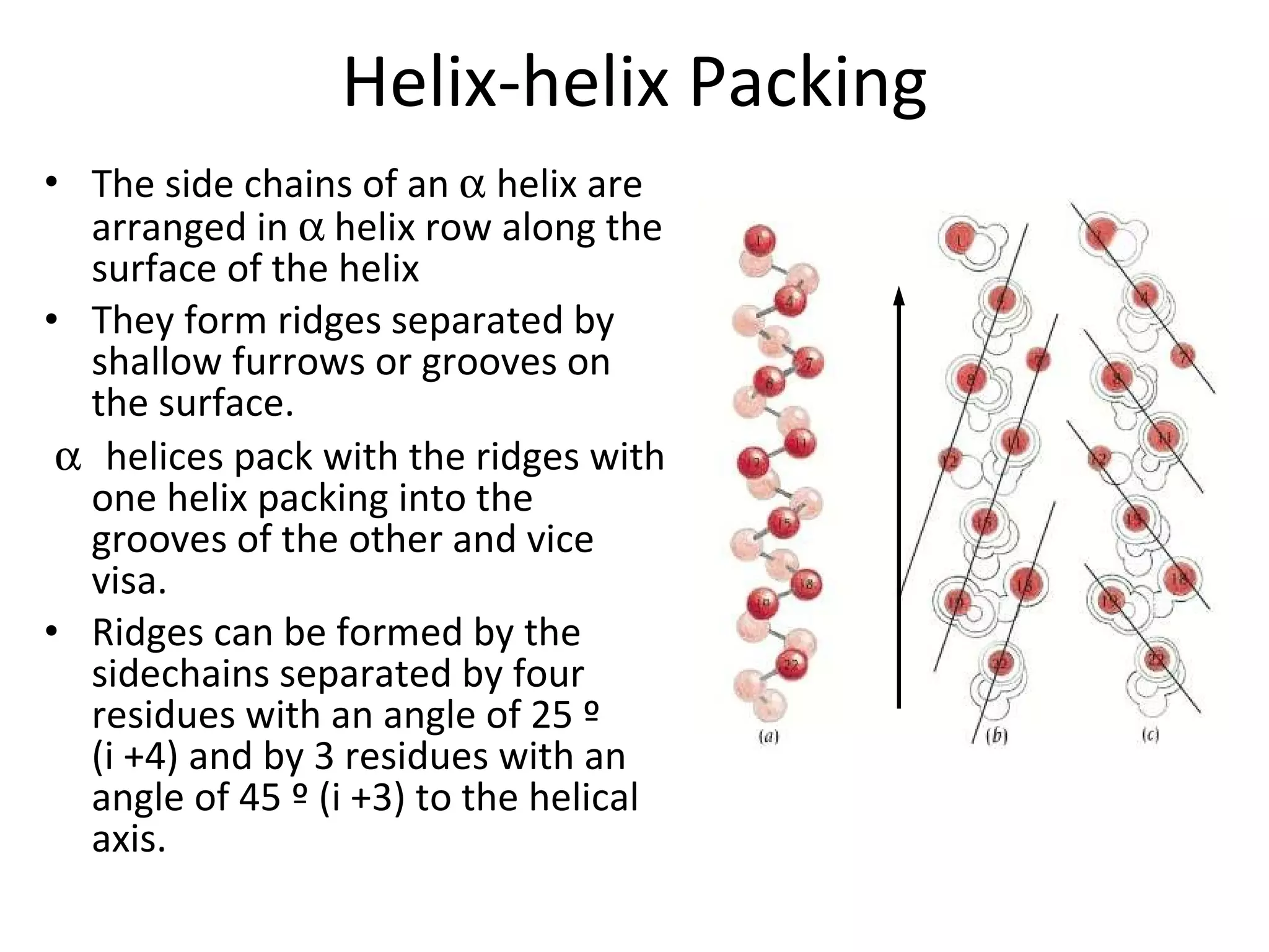 Alpha domain structurs | PPT