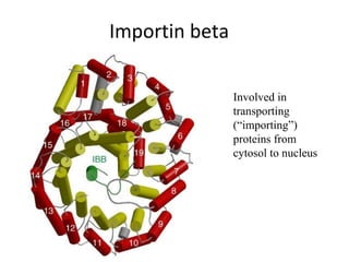 Alpha domain structurs | PPT