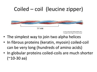 Alpha domain structurs | PPT