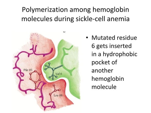 Alpha domain structurs | PPT | Chemistry | Science