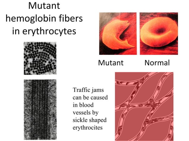 Alpha domain structurs | PPT | Chemistry | Science