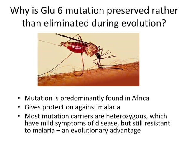 Alpha domain structurs | PPT | Chemistry | Science