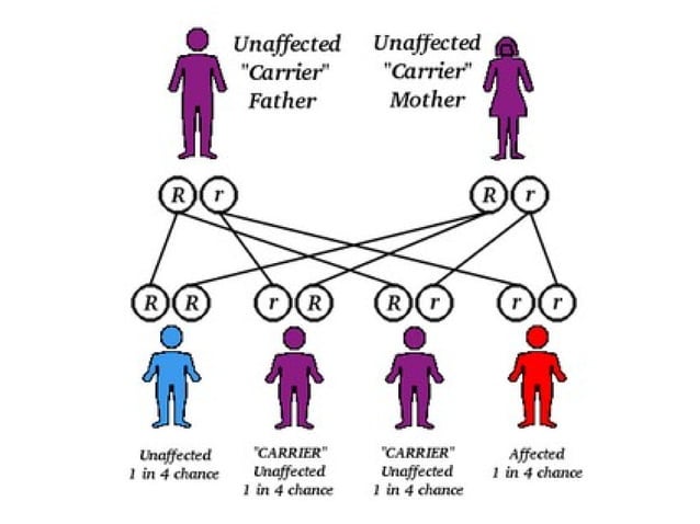 Alpha domain structurs | PPT | Chemistry | Science
