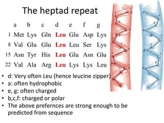 Alpha domain structurs | PPT