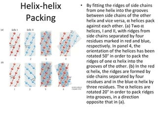 Alpha domain structurs | PPT