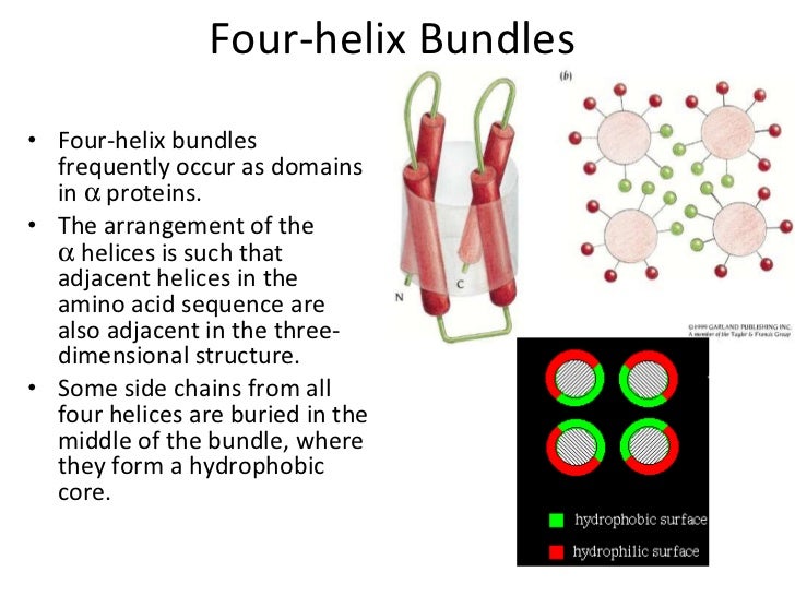 Alpha domain structurs