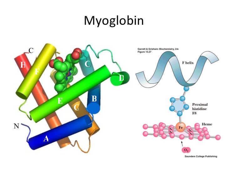 Alpha domain structurs