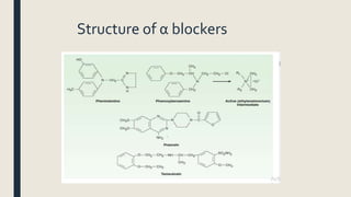 Alpha adrenergic blockers | PPTX