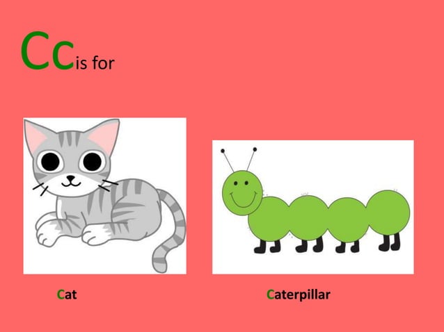 Learning the Alphabet and the sounds of the letters | PPTX