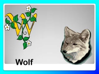 Alphabet | PPTX | Cats | Pets