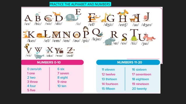 The alphabet ABC for English Learners with the four skills | PPT
