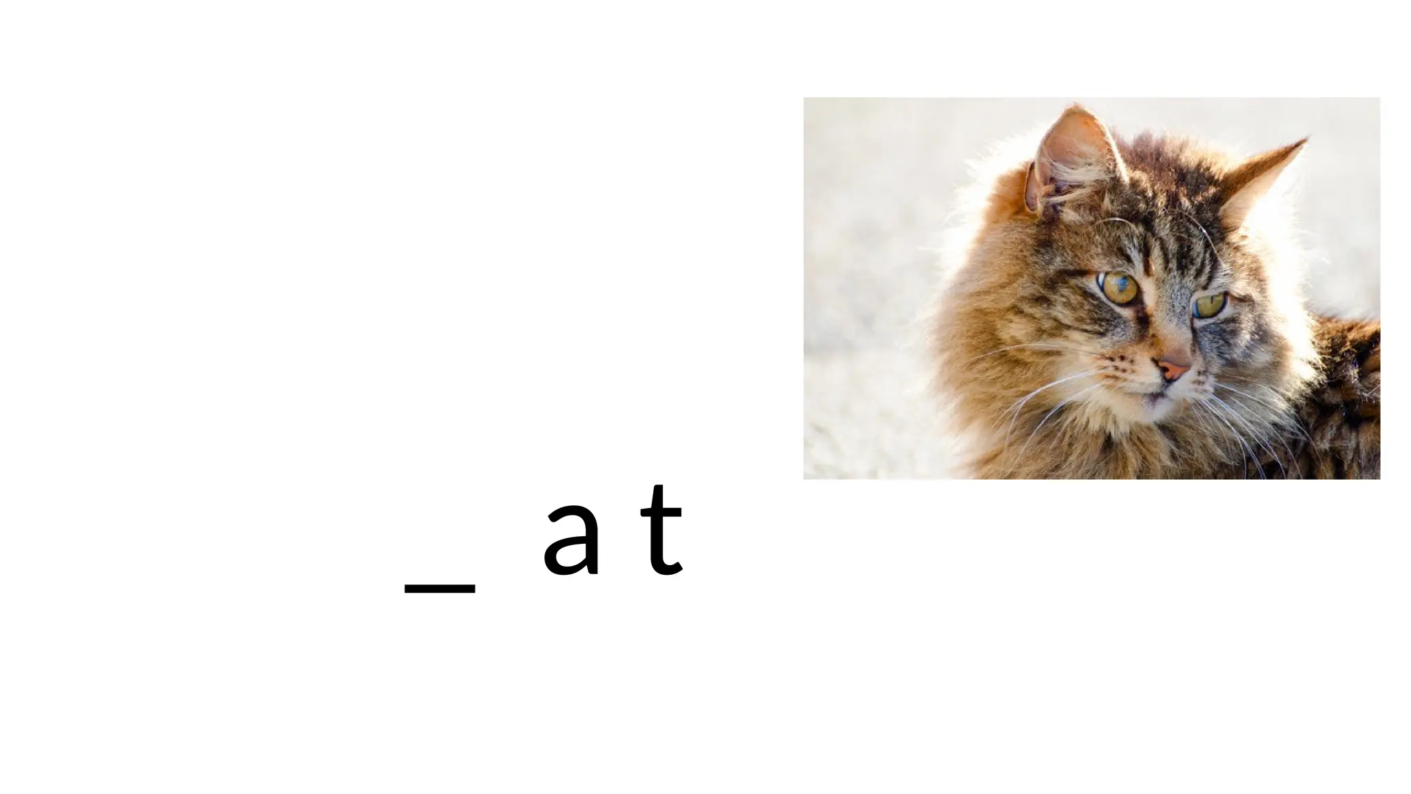 english alphabet spelling practice presentation | PPT