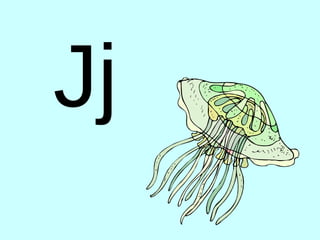 Alphabet PP Random | PPT