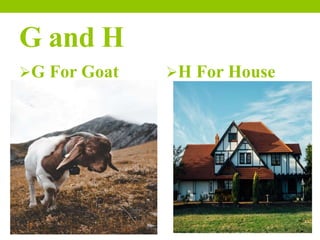 Alphabet abc daily life | PPT