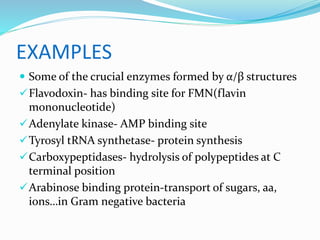 Alpha/beta domains | PPTX
