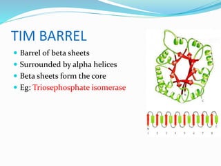 Alpha/beta domains | PPTX