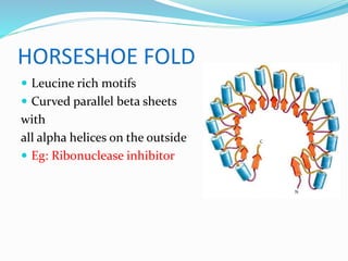 Alpha/beta domains | PPTX