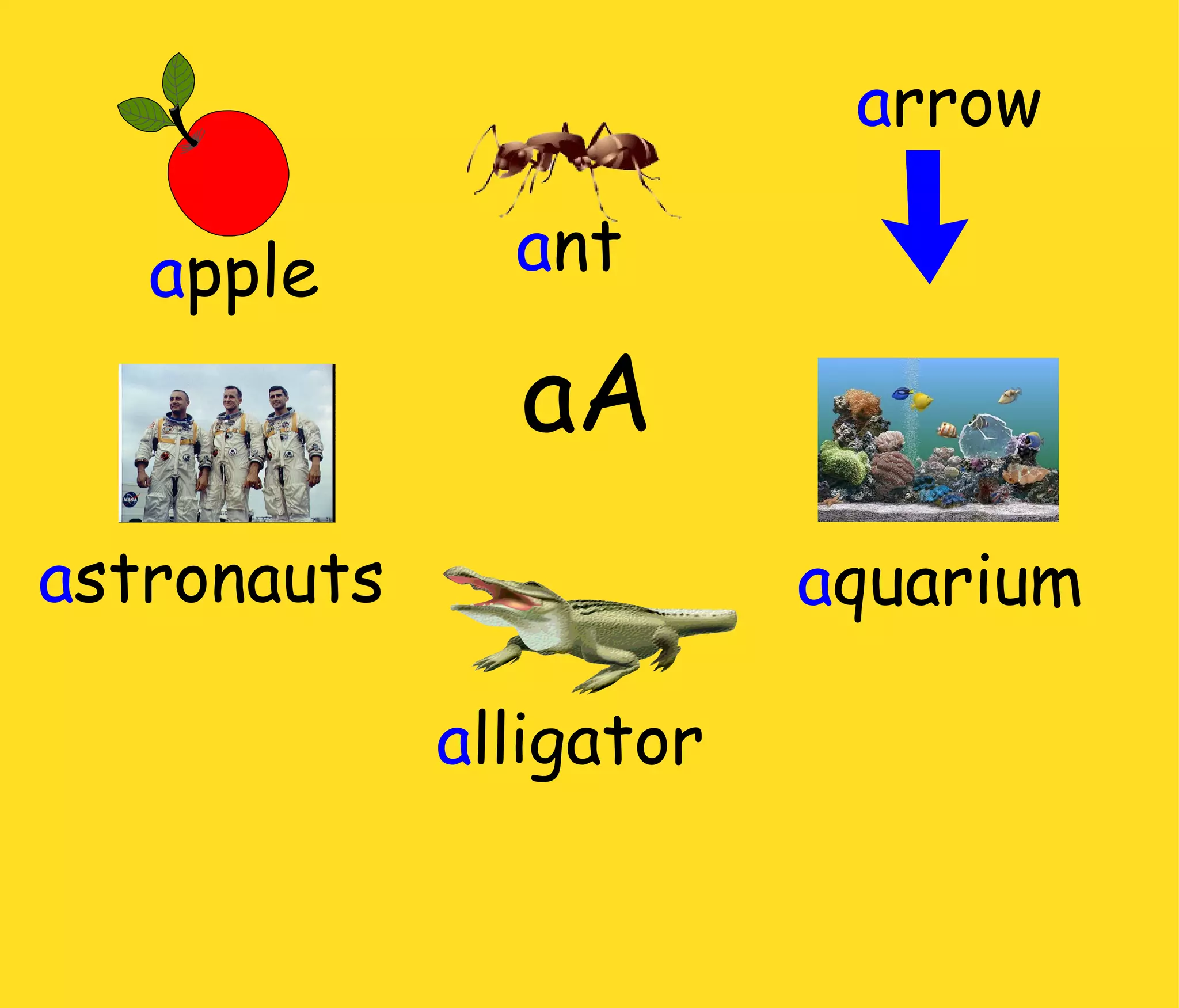 Alphabet Charts | PPT