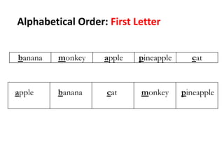 Alphabetical order | PPT