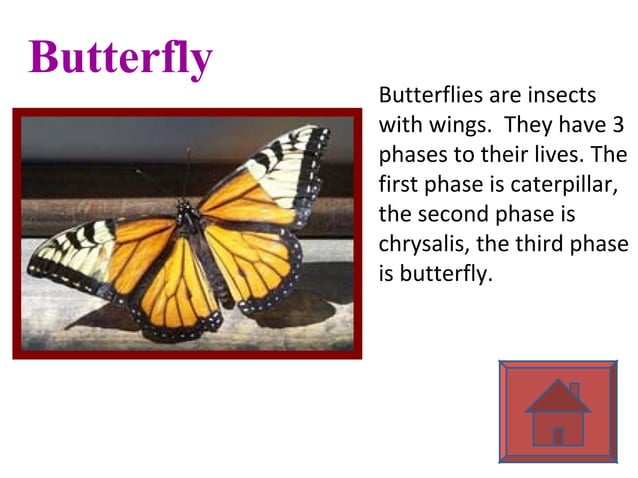 Alphabet johnson | PPT