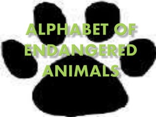 Alphabet of Endangered Animals | PPT