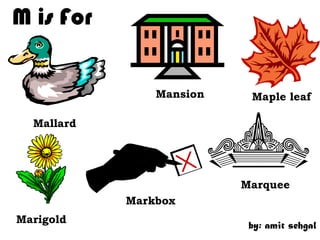 Alphabet representation m | PPTX