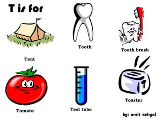 Alphabet representation t | PPT