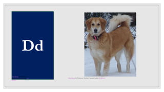 Alphabet review powerpoint | PPTX