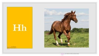 Alphabet review powerpoint | PPTX