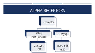 Alpha blocker | PPTX | Endocrine and Metabolic Diseases | Diseases and ...