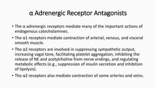 Alpha blocker mbbs | PPTX