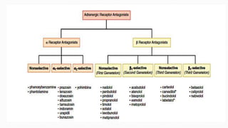 Alpha blocker mbbs | PPTX