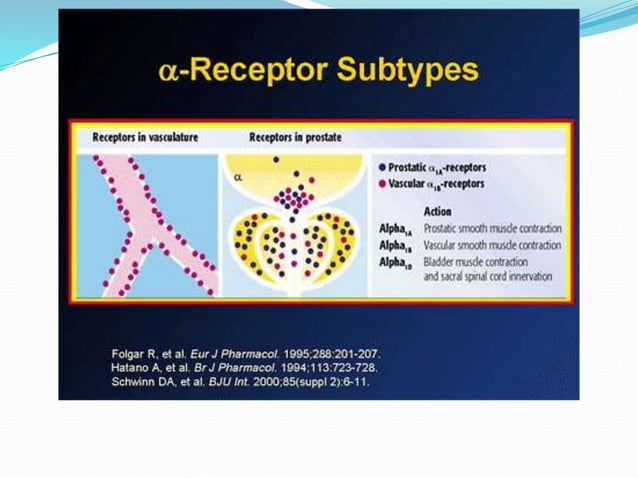 Alphablockers 140105052831-phpapp02 | PPTX